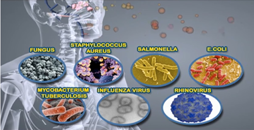 Know the germ hotspots inside your vehicle - Portal Japan
