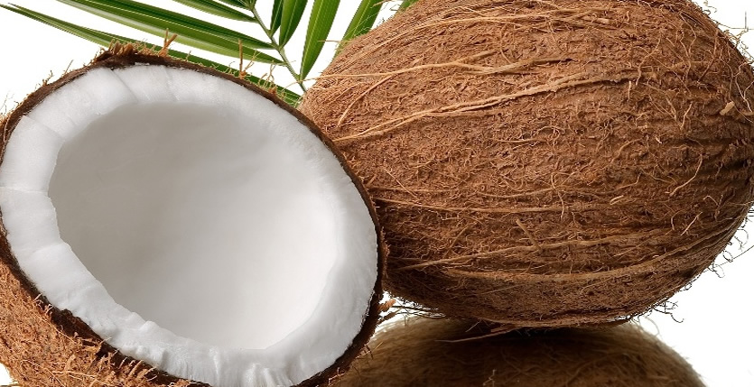 Philippine coconut showcased in Japan food fair - Portal Japan