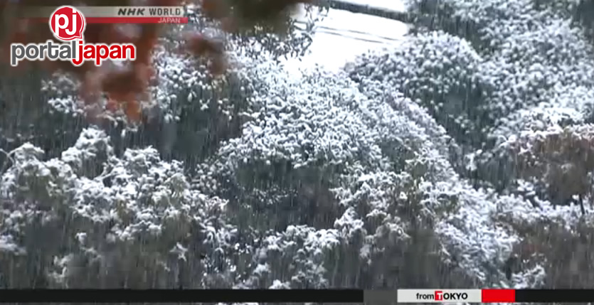 Tokyo hit by unseasonal snow - Portal Japan