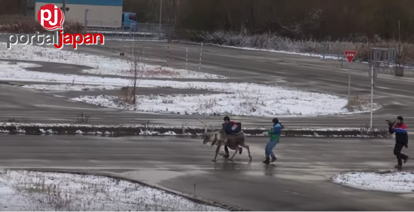 Company in Japan ditches plan to have reindeer deliver pizzas - Portal ...