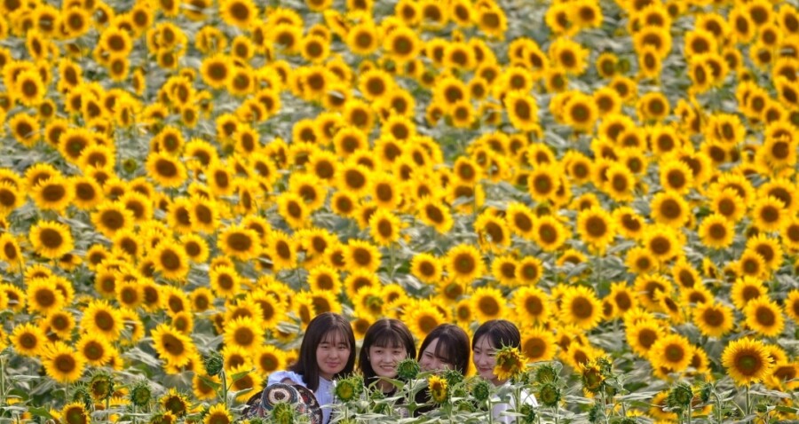 The amazing winter wonderland of Iwate Snow Festival in Japan - Portal ...