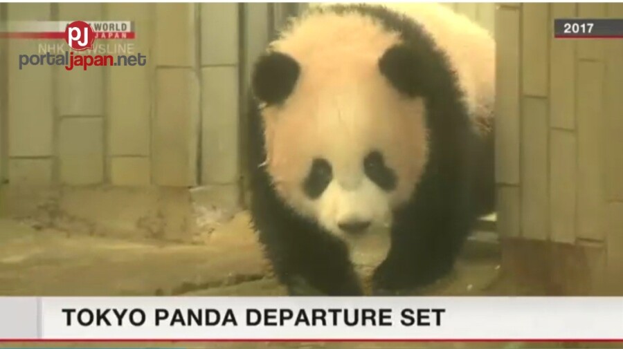 Plano sa magpadala ng higanteng panda sa China na nakatakda para sa ...