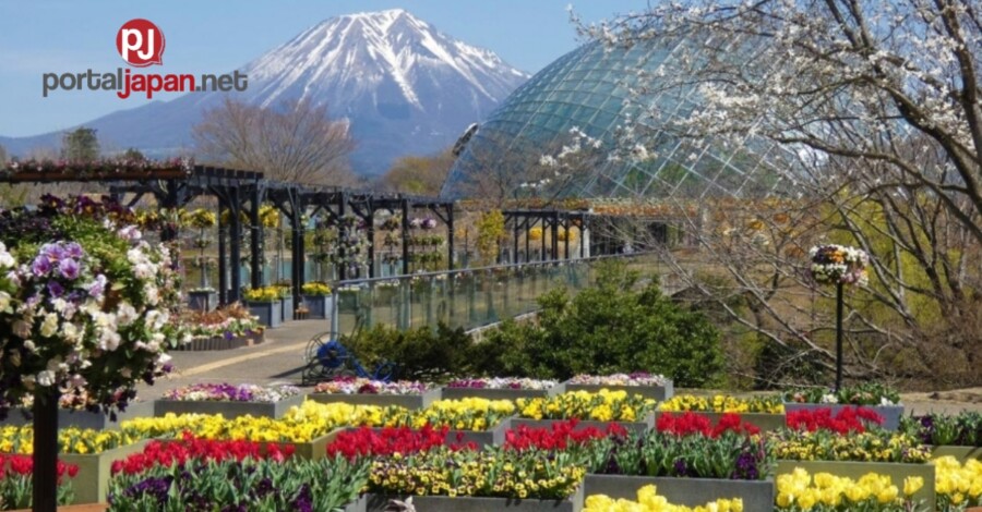 Tottori Hanakairo Flower Park, may 50 hectares na garden - Portal Japan